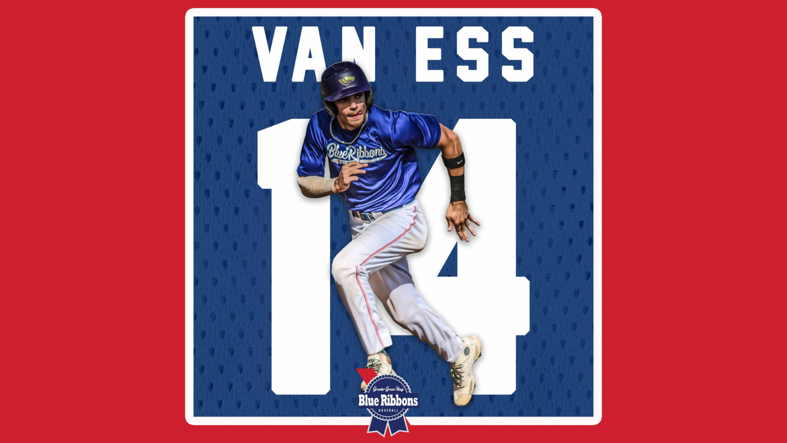 Blue Ribbons Announce 2021 Team Award Winners | Wisconsin State ...